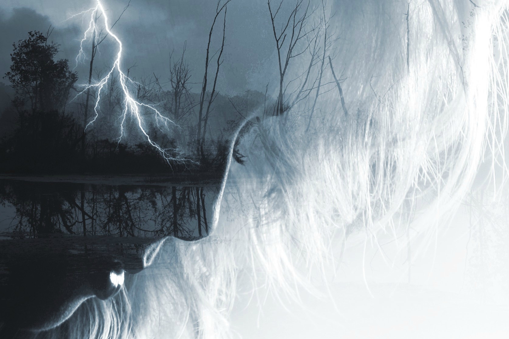 Sandra Brown’s ‘Friction’ Ratchets Up The Suspense [REVIEW] – Jathan ...